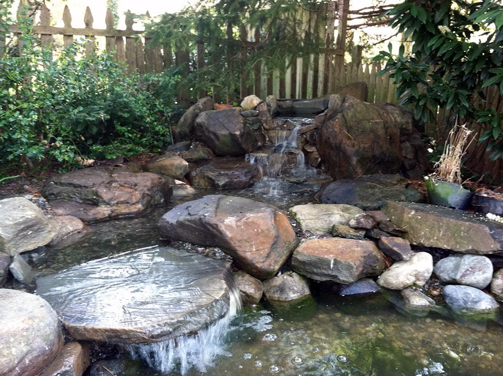 Ponds - AquaReale | Koi Pond Installation & Maintenance