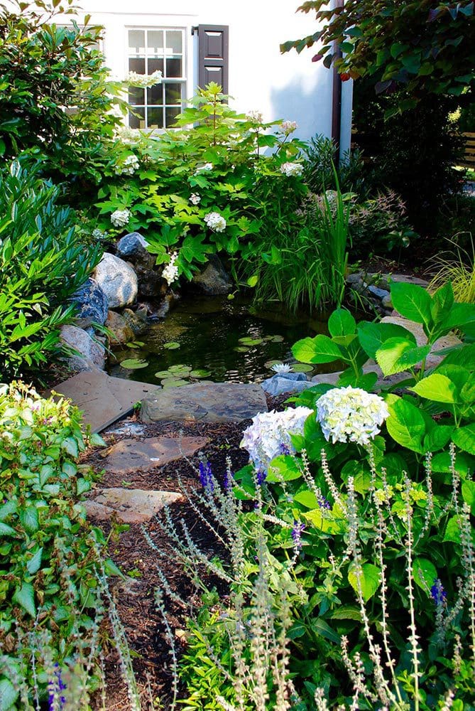 Ponds - AquaReale | Koi Pond Installation & Maintenance