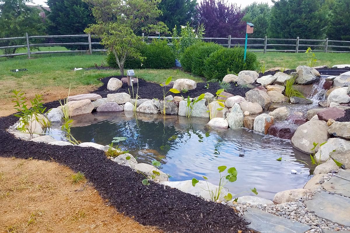 Ponds - AquaReale | Koi Pond Installation & Maintenance