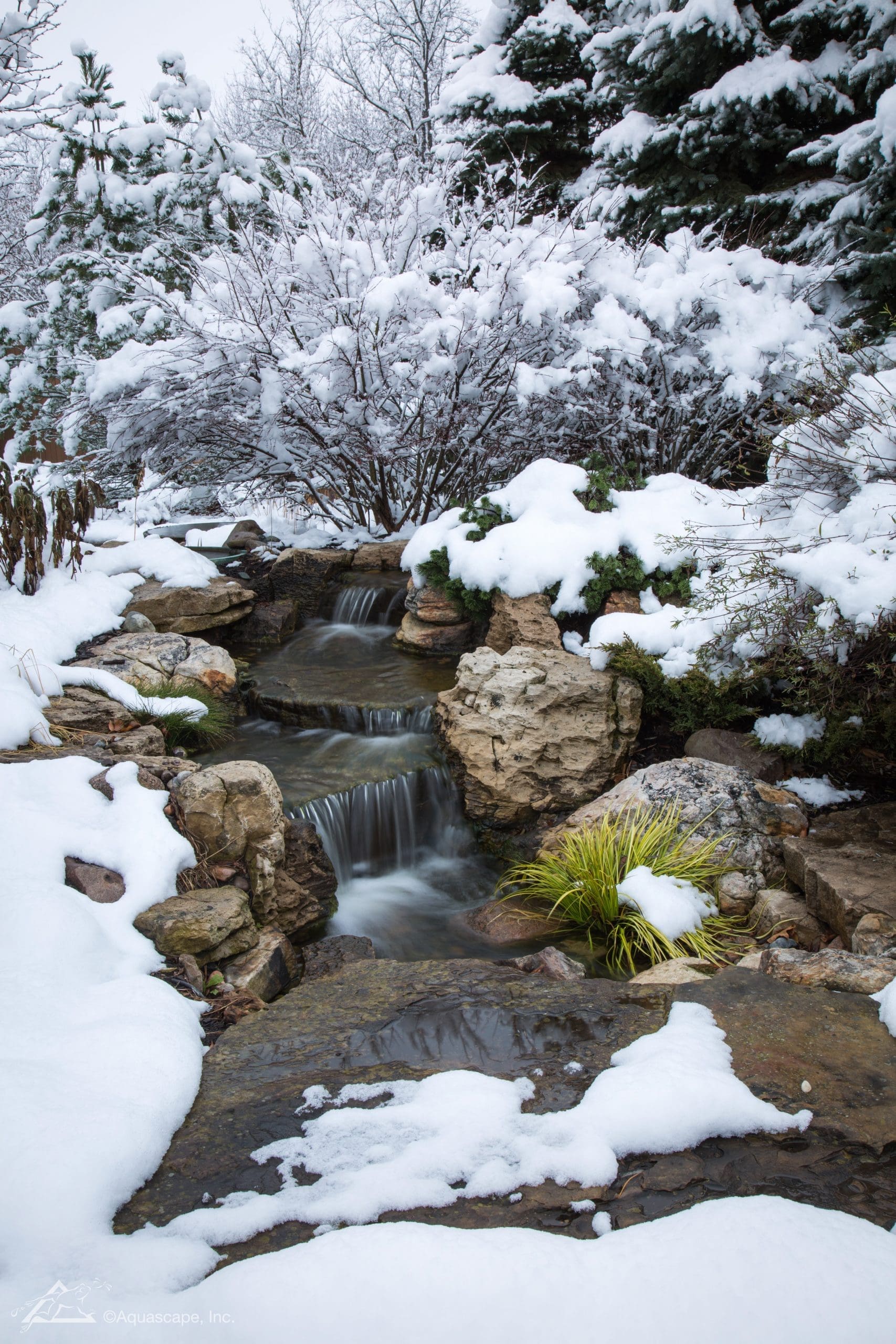 6 Steps to Clean Pond Water - AquaReale | Koi Pond Installation ...